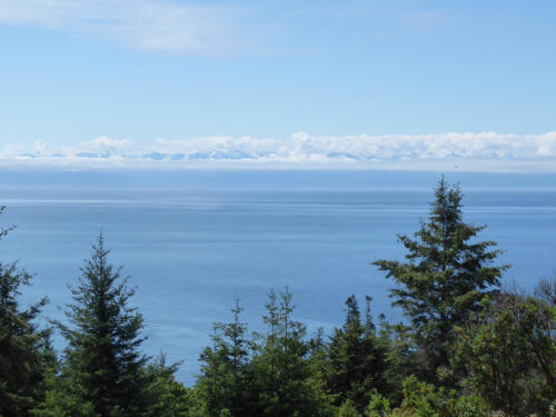 Gallery ⋆ Haro Haiku : Haro Haiku